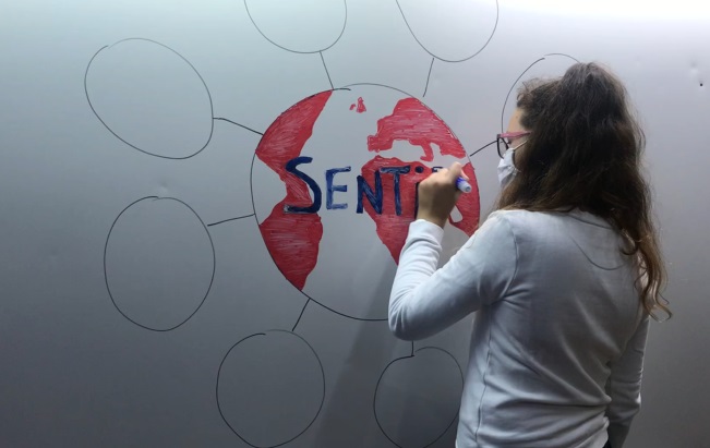 CAuSA Comum: Fruir/Sentir - Educris